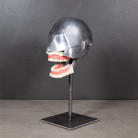 Mid Century Dental Phantom Head Model On Custom Stand C 1960s S16 Home