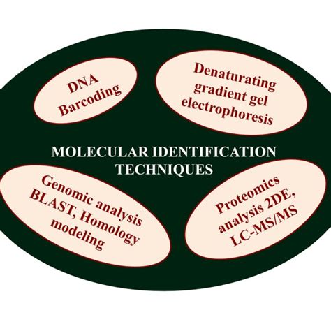 Endophytes In Plant Growth Regulation Download Scientific Diagram