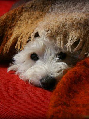 Naked Statistics Presenting Six Minutes