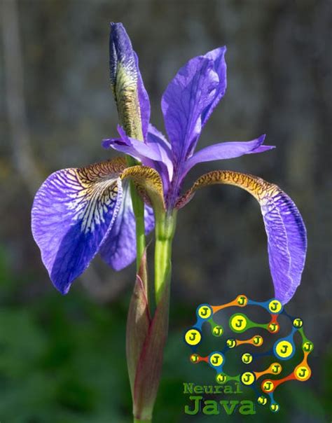 Backpropagation The Most Fundamental Training Systems Algorithm In Modern Generative Ai