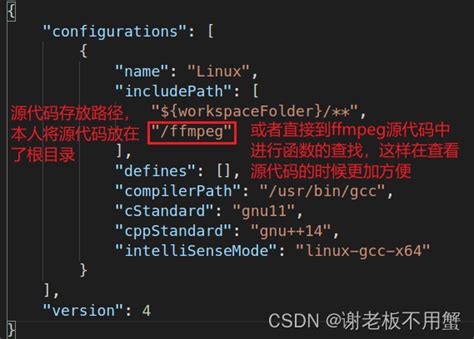 Ffmpeg基础（三）linux下使用vscode编写ffmpeg程序vscode 编译 Ffmpeg Csdn博客