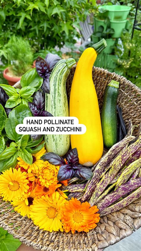 Turn Your Kitchen Scraps Into Rich Compost With The Help Of Worms Vermicomposting Is An Easy