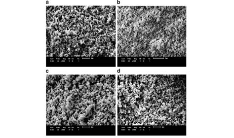 Scaning Electron Micrographs Calcined Catalyst A Tio 2 5000Â