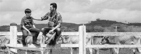 Наследяване на дружествен дял Адвокат Фирмено право в София