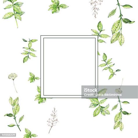 스케치 스타일의 수채화 요소 세트입니다 나뭇잎과 꽃과 밝은 민트입니다 차 세트 엽서와 디자인을 위해 0명에 대한 스톡 벡터 아트 및 기타 이미지 Istock