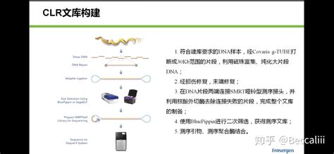 Pacbio 长序列 结构变异检测 Germline Sv Calling 知乎