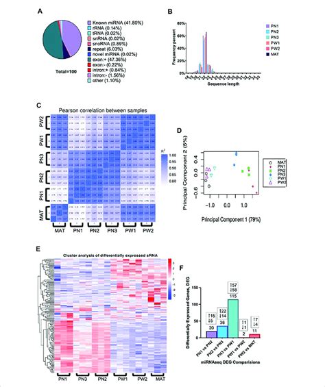 Small Rna Analysis Of Ovine Skeletal Muscle At 6 Developmental Time Download Scientific Diagram