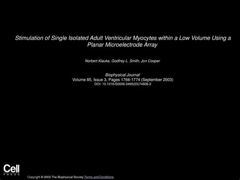 Stimulation Of Single Isolated Adult Ventricular Myocytes Within A Low Volume Using A Planar