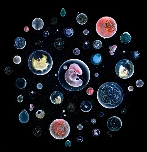 Silica on Behance