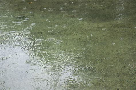 빗방울이 떨어지는 연못 유토이미지 상세페이지 베이직샵 사진 20925761