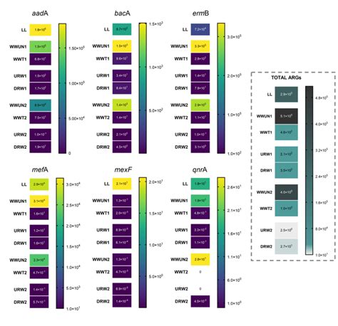Heatmaps Presenting The Average Concentration Of Args And Total Args Download Scientific