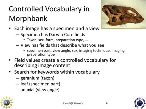 Ontomorphbankster Image Driven Ontology And Or Ontology Driven Image Annotation Greg Riccardi