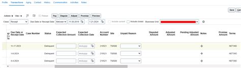 How To Add Dff Under Transaction Tab In Advance Collection Dashboard — Cloud Customer Connect