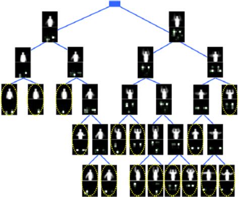 An Example Of Binary Prototype Tree Lin Et Al 2009 Download Scientific Diagram