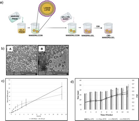 A The Process Steps For Formulating A Nanoemulsion And A Nanoemulgel Download Scientific