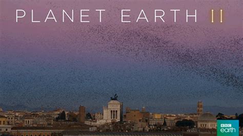 Soar Planet Earth 2  By Bbc Earth Find And Share On Giphy