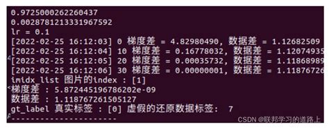 Deep Leakage From Gradients论文解析 Csdn博客