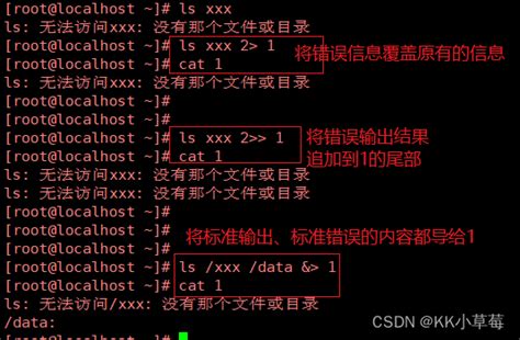 Shell编程规范与变量tcsh 绝对路径 Csdn博客