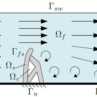 Illustration Of The FSI Problem Picelli Et Al 2022 Download Scientific Diagram