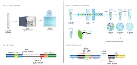 Starsolo Single Cell Quantification In Omicsbox 31 Rna Seq Blog