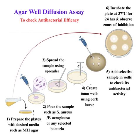 Diffusion Microbiology Microbiologist Laboratory Agar Antibiotics Resistance Oil
