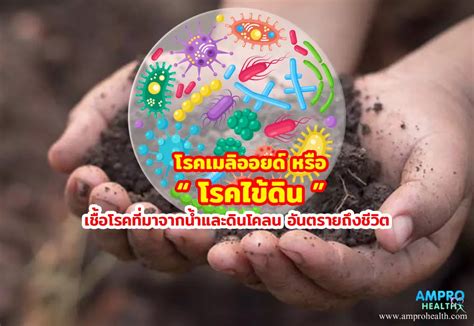 โรคเมลิออยด์ หรือ “โรคไข้ดิน” เชื้อโรคที่มาจากน้ำและดินโคลน อันตรายถึงชีวิต