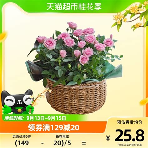 With And Wide 발렌타인 데이 꽃 패키지