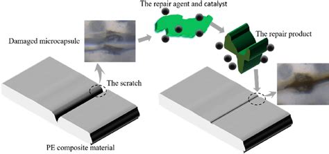 Schematic Diagram Of Self Healing Behavior Of Pemicrocapsules