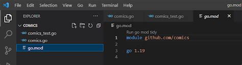 Build A Module In Golang Go Tutorial 5 Easy Steps Mrwixxsid
