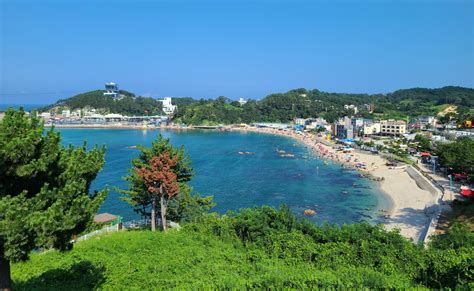 Jangho Beach 🏖️ Gangwon Province South Korea Detailed Features Map