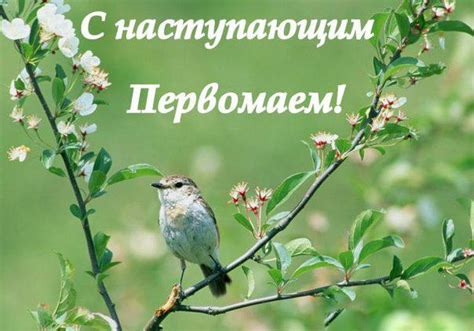 Открытка картинка 1 мая первомай майские праздники пптичка Открытки Открытка картинка 1