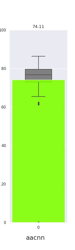 Shift Invariant Module