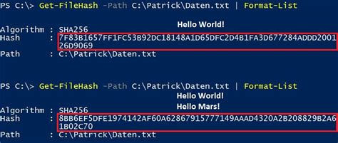 Get Filehash Hash Einer Datei Anzeigen Sid 500 Com