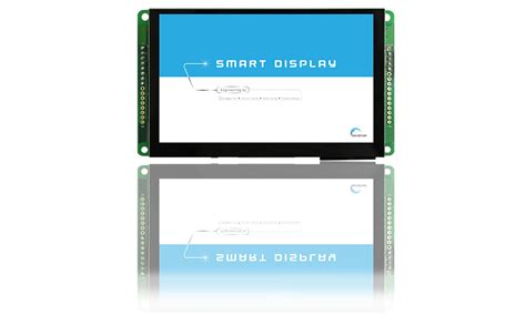 Raystar Optronics Inc