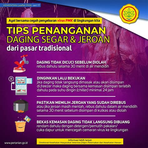 Artikel Mengenal Pmk