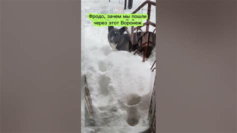 Фродо зачем мы пошли … Youtube