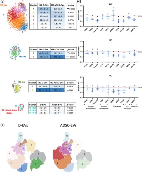 Adsc‐evs Modulate Macrophage Phenotype A Flowsom‐guided Manual