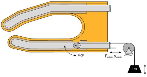 Schematic Overview Of Test Setup Configurations Of Metacarpophalangeal Download Scientific