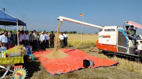 ရသေ့တောင်မြို့နယ်၌ မိုးစပါး ၀ ၁၀ ဧက Gw 11 စပါး စံကွက်ရိတ်သိမ်းပွဲ ပြုလုပ် Information And