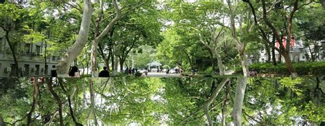 浙江大学 欧阳璠研究员：学习分析在计算机支持的协作学习中的应用 数字教育湖北省重点实验室