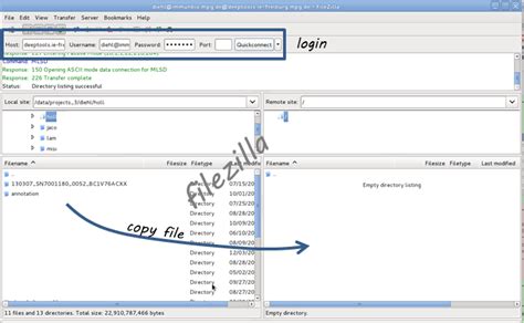 Data Import Into Galaxy — Deeptools 356 Documentation