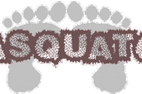 Sasquatch Font Gaut Fonts FontSpace