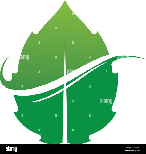 Tree Leaf Vector Logo Design Eco Friendly Concept Stock Vector Image Art Alamy