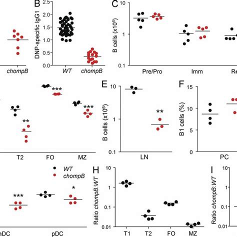Chompb Mice Have A Block In B Cell And Dc Development A And B Download Scientific Diagram