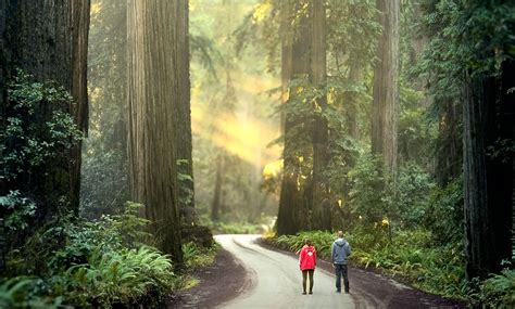 Northern California National Parks The Best National Parks In