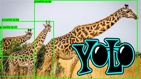 Neural Networks For Object Detection And Classification Christian