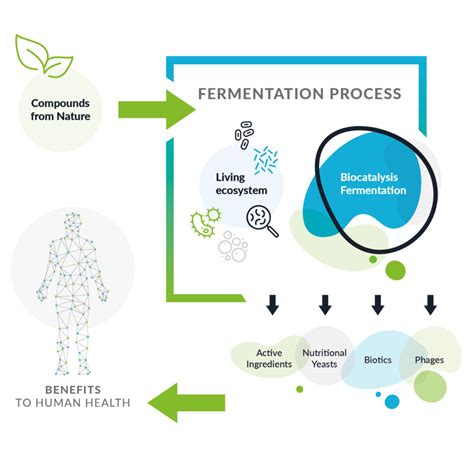 Our Production And Processes