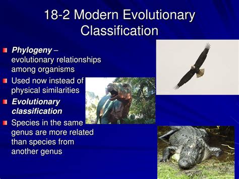 Ppt Classification Powerpoint Presentation Free Download Id 158921