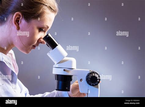 Beautiful Science Student Looking Into A Microscope In A Laboratory Stock Photo Alamy