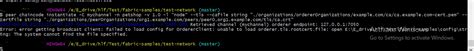 tls1 2 i m trying to instantiate a chaincode wriiten in node js on